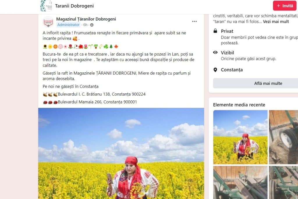 Țăranii Dobrogeni își fac reclamă cu Șoșoacă în lanul de rapiță. Zeci ...